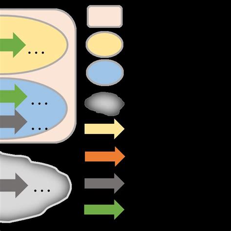 Intuition For Multi Step Interactions Between The Local Models And The Download Scientific