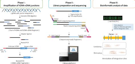 overview of viral integration site analysis visa pipeline a