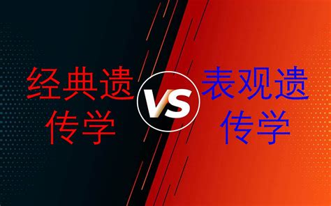 必修2第四章第2节：（表观遗传）基因表达与性状的关系（第2课时） 哔哩哔哩