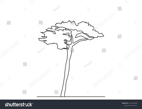 Tall Tree Sketch Vector Design Stock Vector Royalty Free Shutterstock