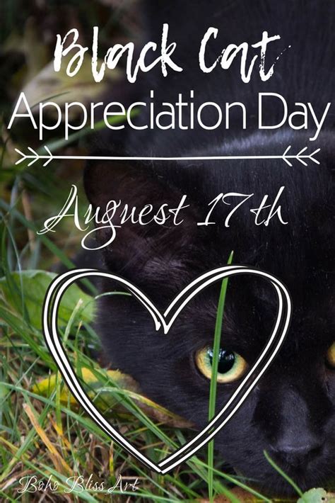 Pin By Cat Lover 4 On Black 1 Black Cat Appreciation Day Cats Cat