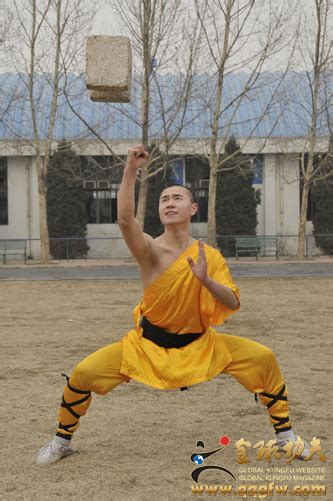 少林练手短打图文教学 少林连手短打 少林擒拿手 第3页 大山谷图库
