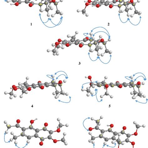 Key Noesy Correlations For Compounds 1−7 The 3d Structures Were