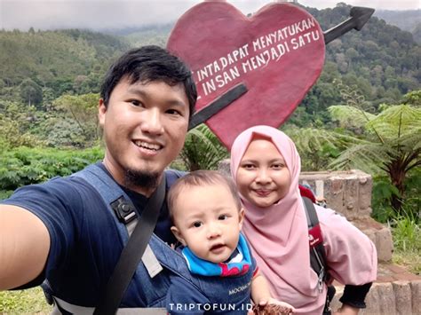 Curug Cisurian Habitat Si Katak Merah Di Tn Gunung Ciremai Triptofun