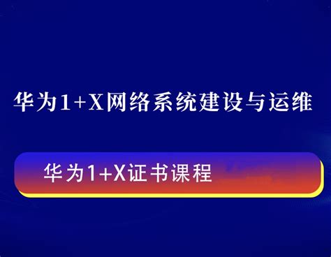《网络系统建设与运维》高级课程 华为1 x高级网络工程师认证 全能it