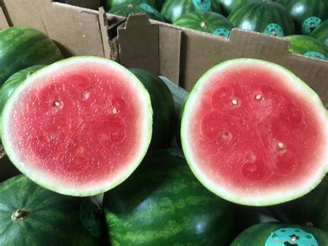 Quality fruit, personal attention - Grand Fruit