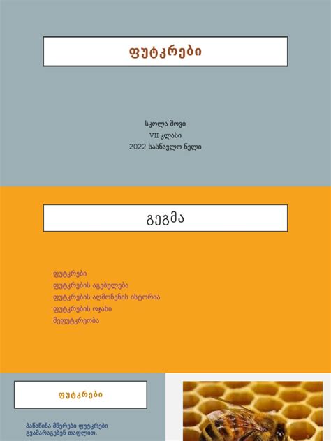 პროექტი ფუტკრები Pdf