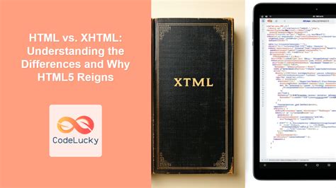 html basics document structure doctype head and body explained