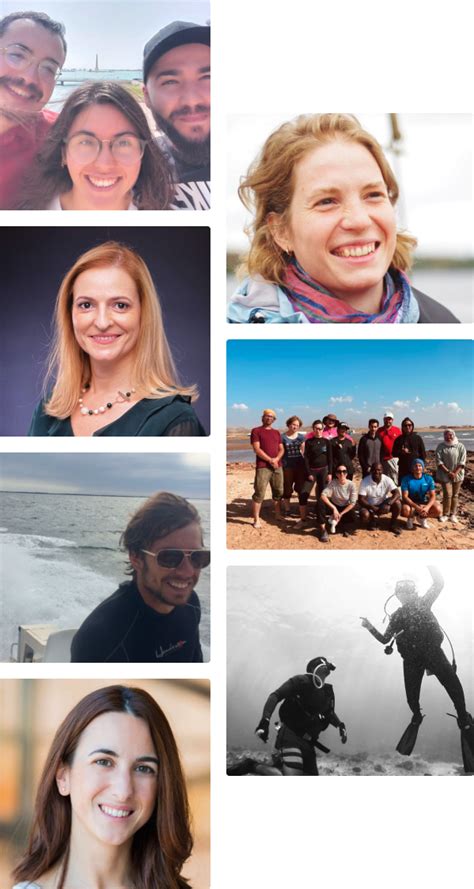 Bem Lab Biodiversity And Ecosystem Management Lab At Kaust