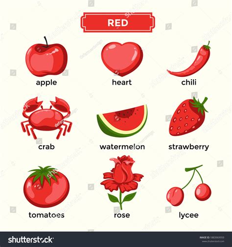 Flashcards Learning Red Color Vocabulary Set เวกเตอรสตอก ปลอดคาลขสทธ