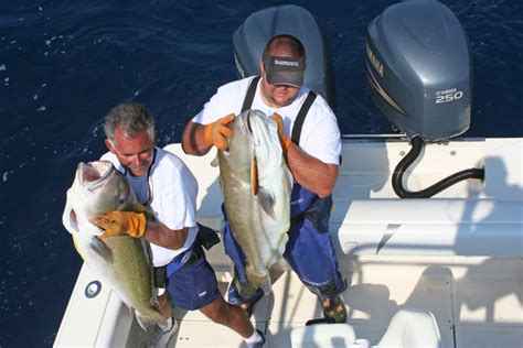 The Bottom Line On Reading Bottom Bdoutdoors