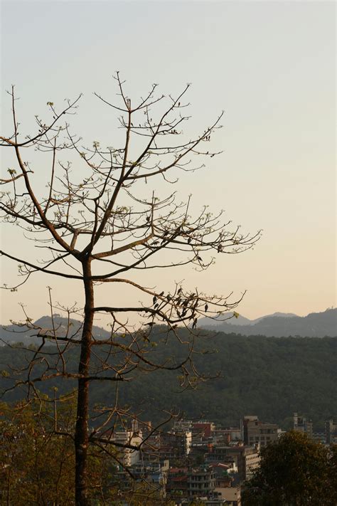 Oliviadunnebarefeet Photos Download The Best Free Oliviadunnebare