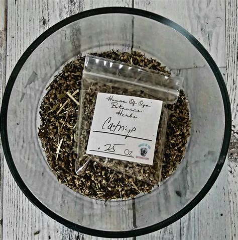Witch Herbs Catnip Etsy Witch Herbs Catnip Etsy