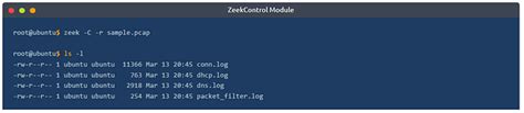 Tryhackme Zeek — Task 1 Introduction Task 2 Network Security Monitoring And Zeek And Task 3 Zeek