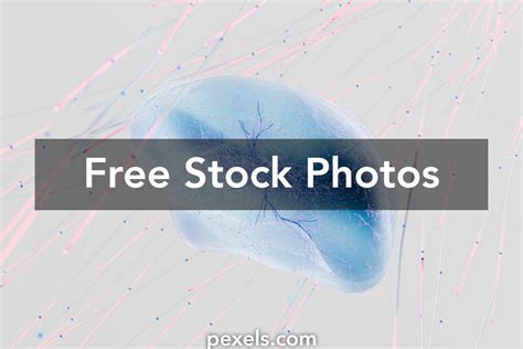 Brain Science Reticular Activating System Photos Download The Best Free Brain Science Reticular