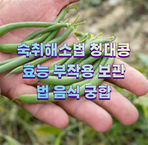 숙취해소법 청대콩 효능 부작용 보관법 음식 궁합 식물 정보