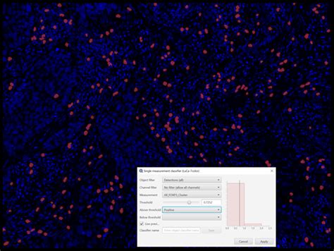 There And Back Again Qupath Cytomap Cluster Analysis Image Analysis