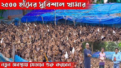 নতুন অবস্থায় যেভাবে শুরু করবেন ২৫০০ হাঁসের সুবিশাল খামার Duck Farming Khamar Bangla 24