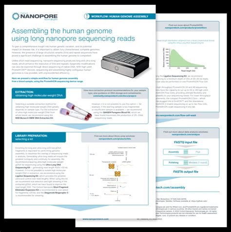 Assembly Oxford Nanopore Technologies