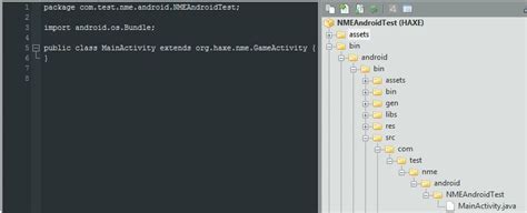 Haxe Nme Project With Android Target Fails To Deploy Activity Class Does Not Exist Stack Overflow