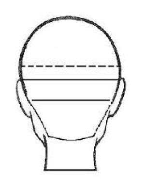 Back Of Head Drawing At Getdrawings Free Download