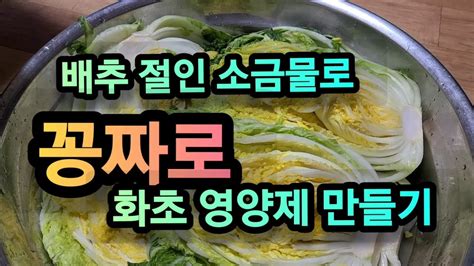 김장배추 절인 소금물 절대 버리지 마세요 꽁짜로 화초 영양제 만드는 방법 Youtube