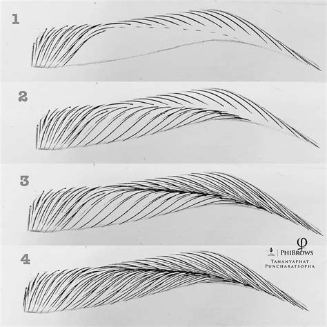 Branko Babic On Instagram First Step Begin To Exercise Immediately Work By Phibrows Master