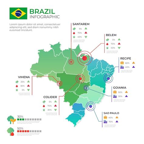 Infográfico Do Mapa Gradiente Brasil Vetor Premium