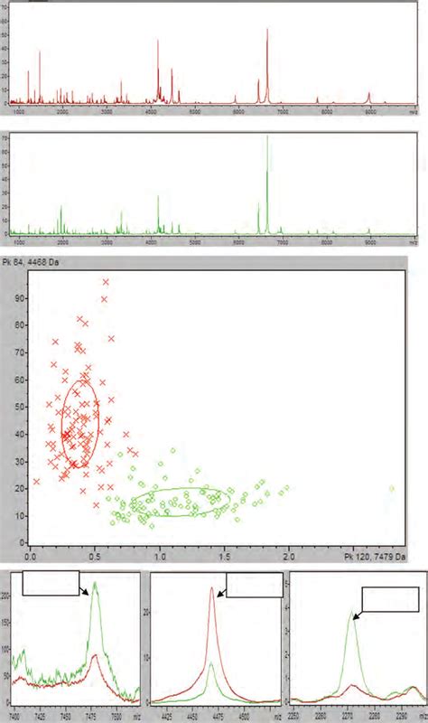 clustering analysis of ms based serum peptide profiles red nsclc i