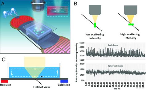 bacteria detection principle by a single particle imaging approach a