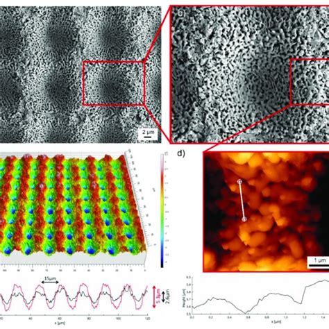 Sem Micrographs Of The Fs Laser Induced Hierarchical Surface Structures Download Scientific