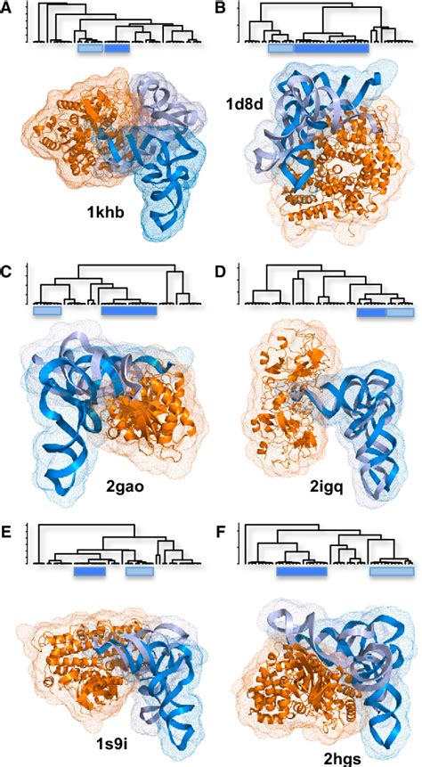 Figure 4 From Discovering Rna Protein Interactome By Using Chemical Context Profiling Of The Rna Figure 4 From Discovering Rna Protein Interactome By Using Chemical Context Profiling Of The Rna