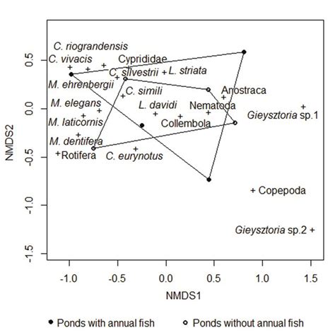 Non Metric Multidimensional Scaling Nmds Diagram Of The Assemblage Download Scientific