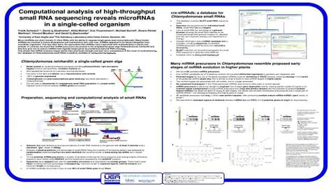 Computational Analysis Of High Throughputsmall Rna Sequencing Reveals Micrornas In A Single