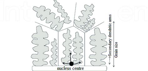 Schematic Illustration Of Dendritic Grain Growth Adapted From 11 Download Scientific Diagram