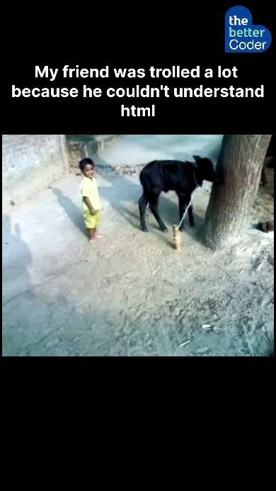 Team 4 Ingineers Tag Your Friends Who Needs To Start Coding 😤😂