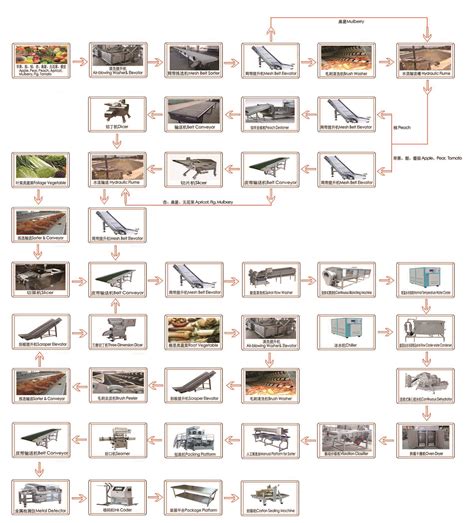 Dried Vegetable Processing Plantdried Fruit Processing Machinedried