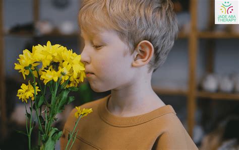 Aba Therapy Verbal Operants Examples Jade Aba