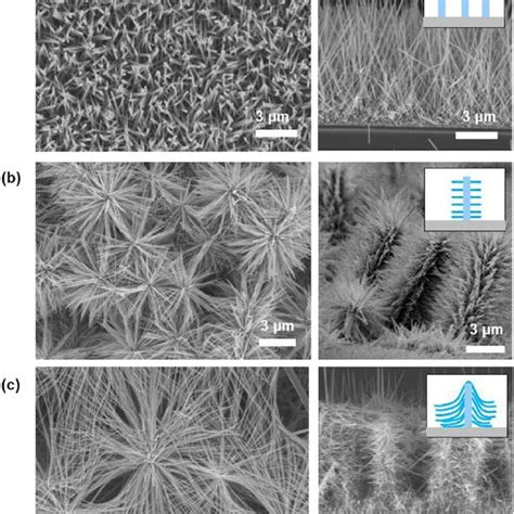 sem pictures of the zno nanowire hierarchical nanostructures for a download scientific diagram