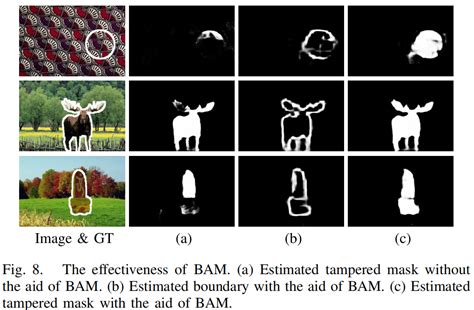 Attentive And Contrastive Image Manipulation Localization With Boundary Guidance 喵