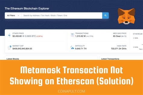 Metamask Transaction Not Showing On Etherscan Solution Coinapult