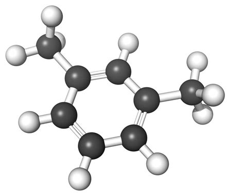 What Is Xylene In Science At Stephanie Reynolds Blog