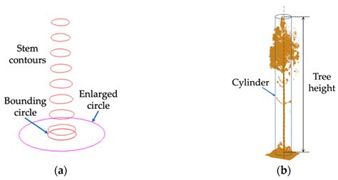 Remote Sensing Free Full Text Efficient Calculation Method For Tree Stem Traits From Large