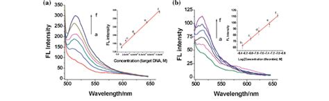A Fluorescence Spectra Of The Fam Labeled Dna Cuh 2 Dtoa In The