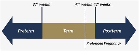 Post Term Pregnancy Injury Birth Injury Lawyers