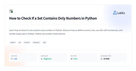 how to check if a set contains only numbers in python labex