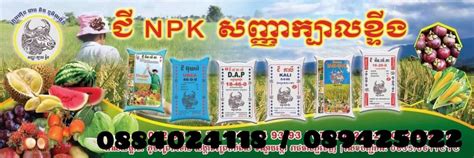 ជី Npk សញ្ញាក្បាលខ្ទីង