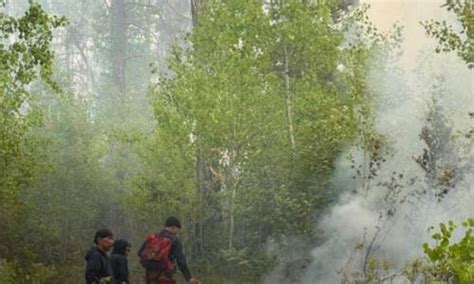 Сэлэнгэ аймгийн Хүдэр сумын Баянцагаан багт гарсан түймрийг бүрэн унтраалаа
