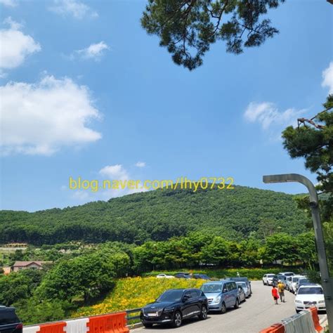 용인자연휴양림 당일치기 아이와 함께 소풍 네이버 블로그