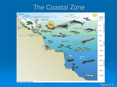 Ppt Chapter 6 Powerpoint Presentation Free Download Id 647329